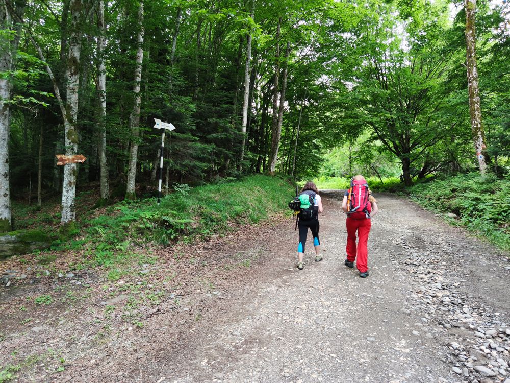 Circuit de la Cabana Negoiu din Munții Făgăraș: Vf. Șerbota - Custura ...