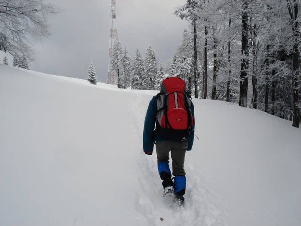 Bucegi: Traseu Gura Diham - Cabana Diham